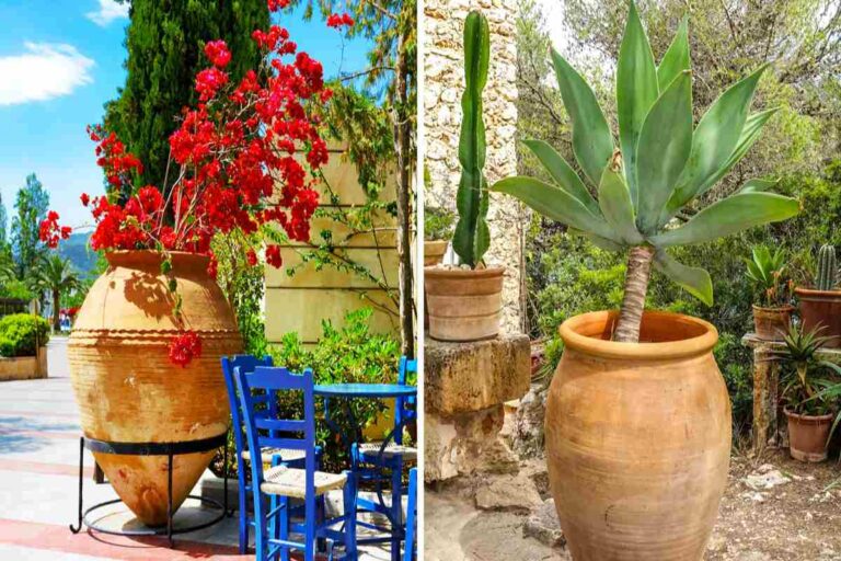 Come decorare il giardino con anfore: 9 spunti eleganti e creativi