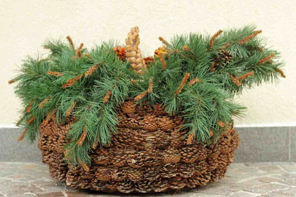 Centrotavola natalizio fai da te con pigne: idee di riciclo creativo